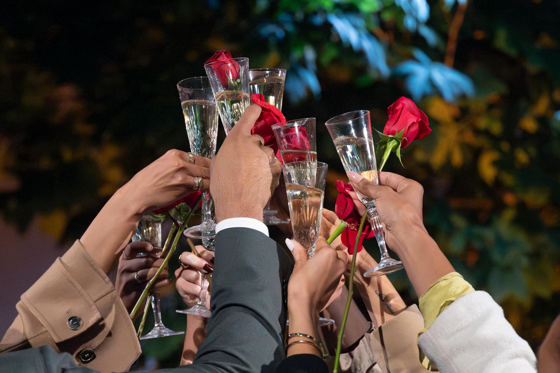 Ranking Every Season of The Bachelor from Worst to Best - AfterBuzz TV