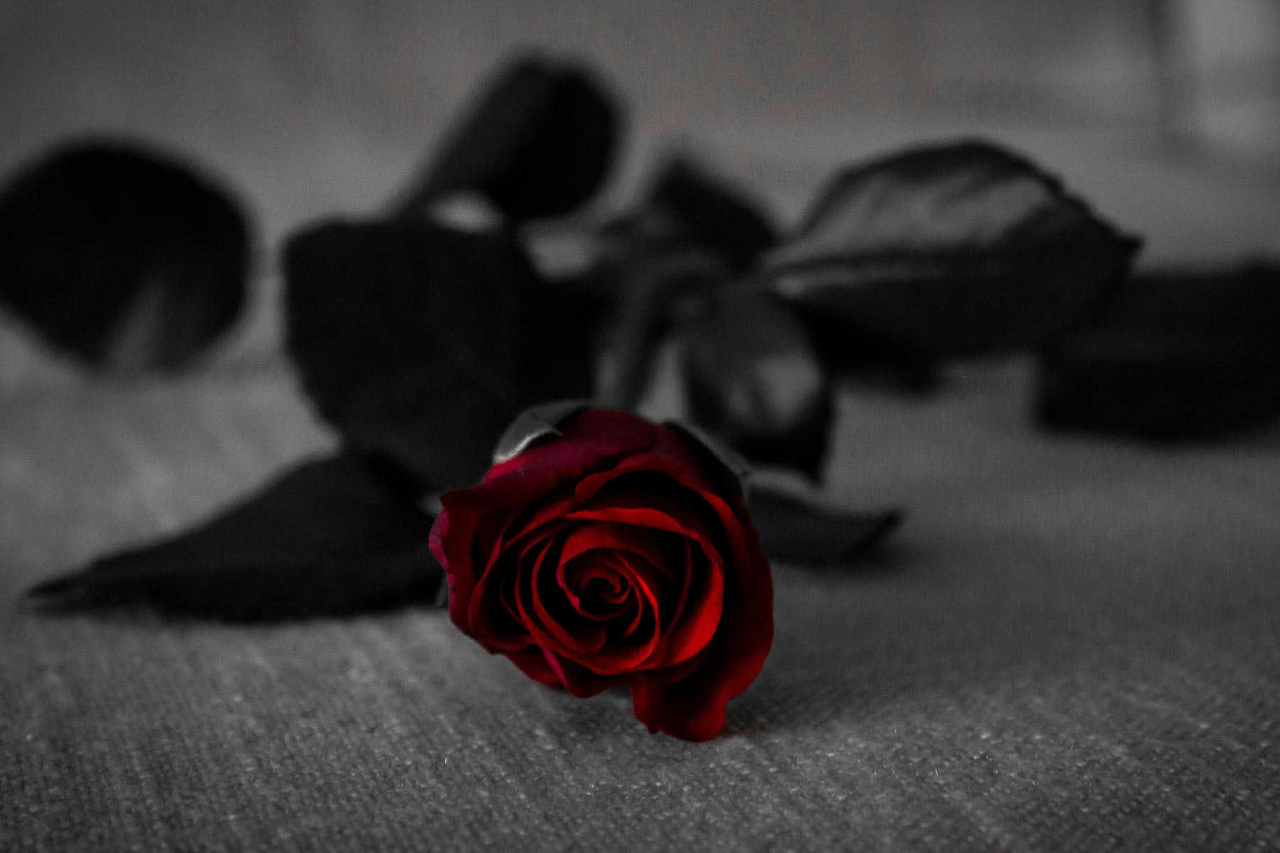 Shogun Star Richard Chamberlain Dies at 90 - AfterBuzz TV